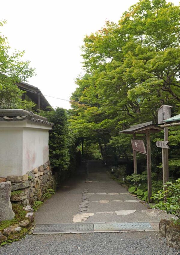 【宝泉院／京都大原】美しい額縁庭園と五葉松 - RIKA MUSEUM